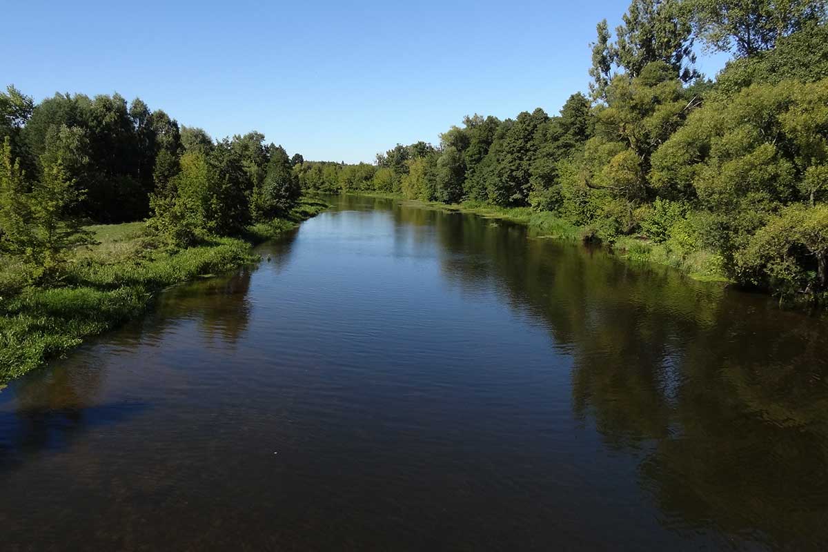 Kajaki - Wkra. Wypożyczalnia kajaków i spływy kajakowe rzeką Wkrą